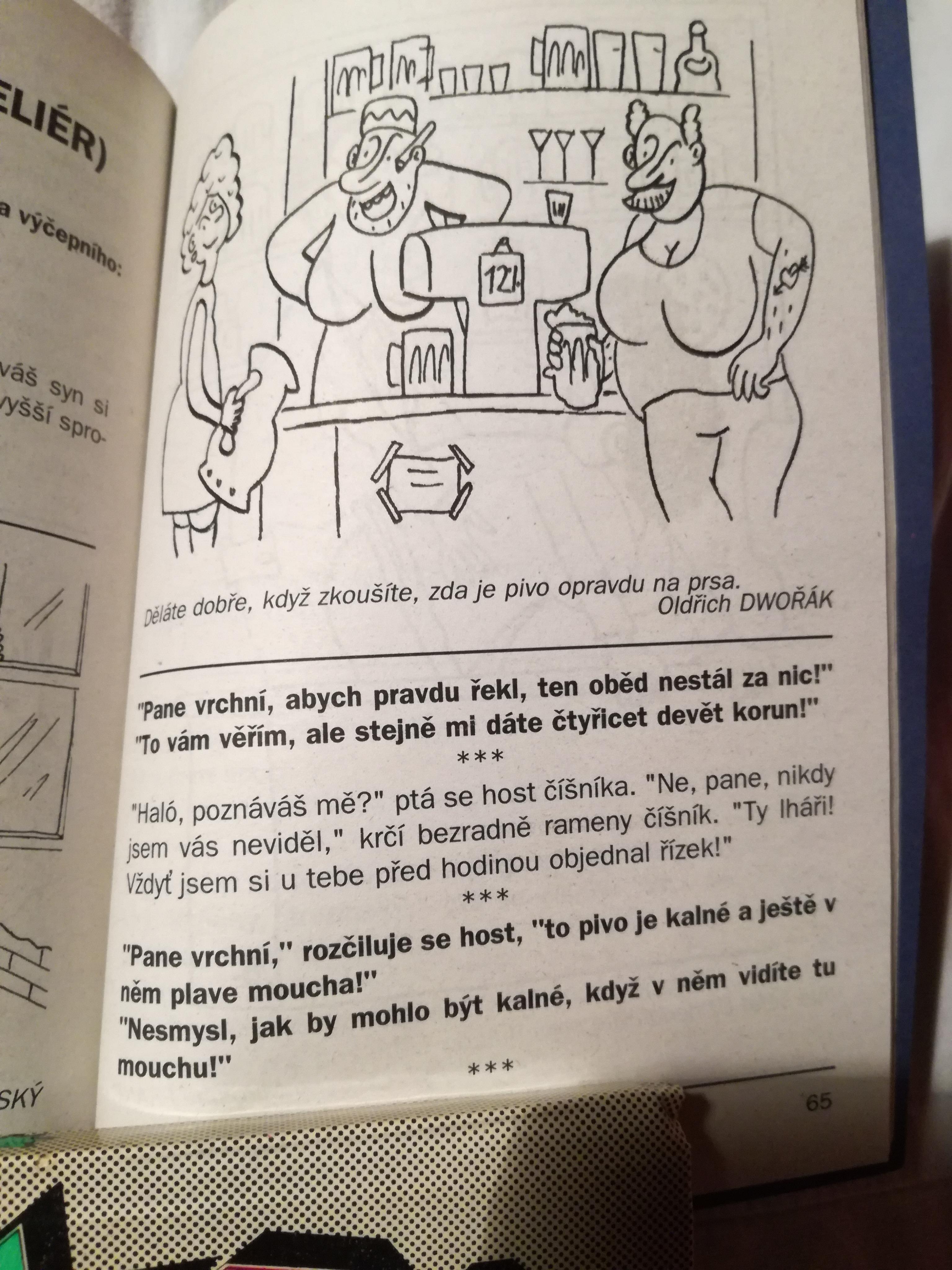 fotogalerie harpej: Ten dělá to a ten zas tohle - Hajzlbába - Chat.cz